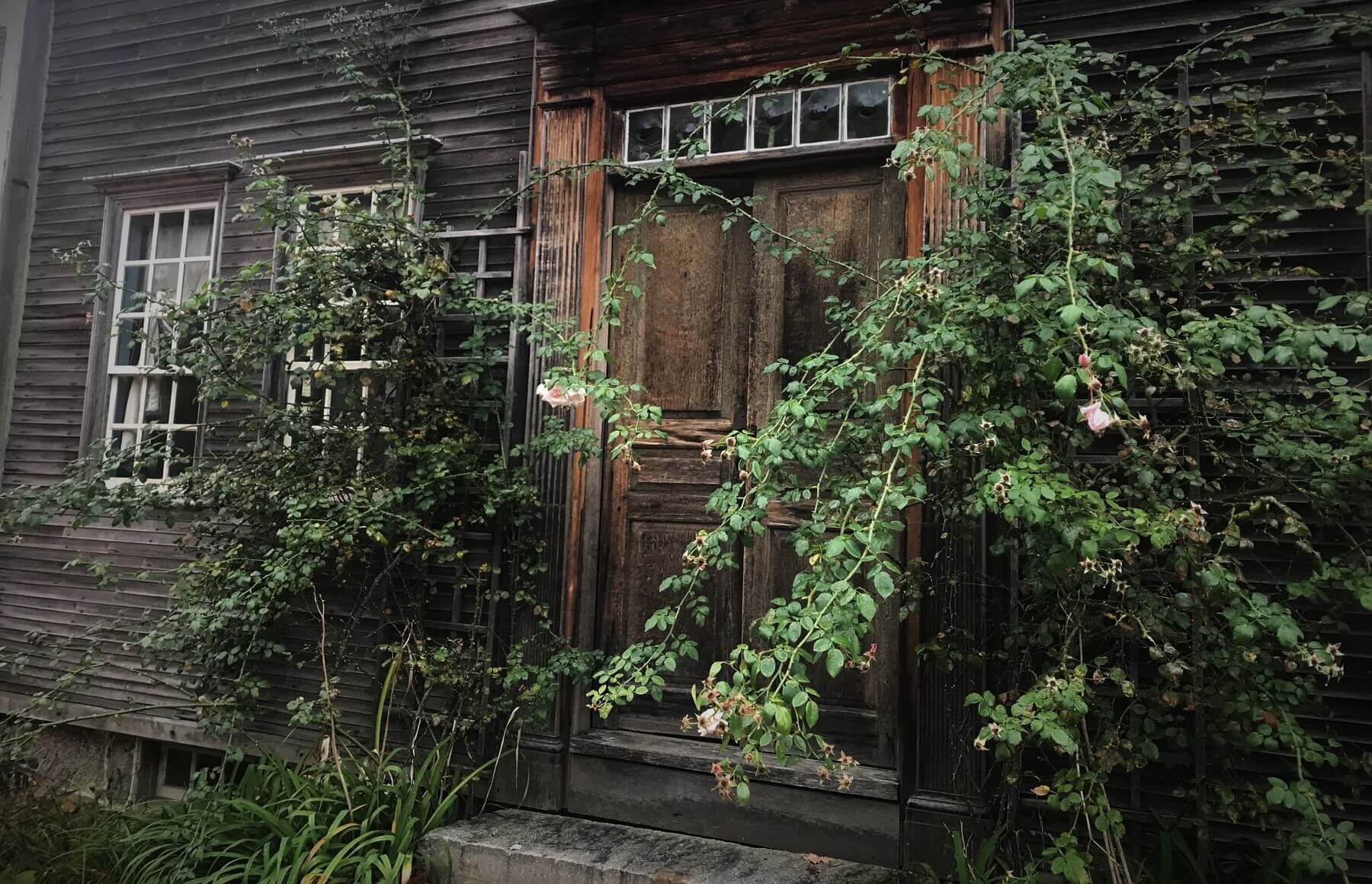 Doorways Blog - Dr. Holly Schaff